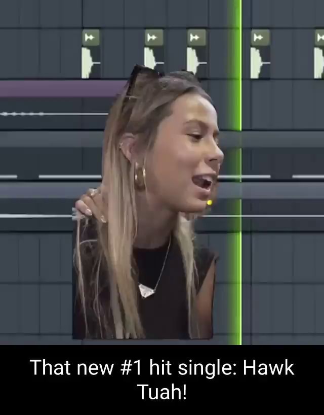 That new #1 hit single: Hawk Tuah! - iFunny