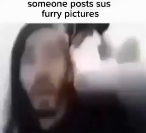 Someone posts sus furry pictures - iFunny