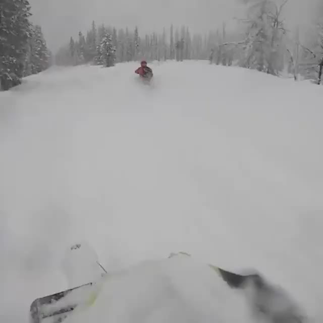 Video memes HqgXkR4X6 by Narcan_or_Narcant: 246 comments - iFunny