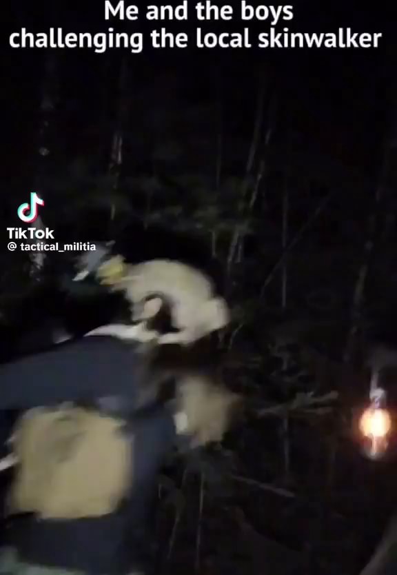 Me and the boys challenging the local skinwalker TikTok - iFunny