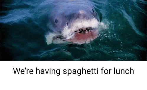 We're having spaghetti for lunch - iFunny