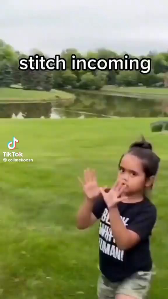 Stitch incoming - iFunny