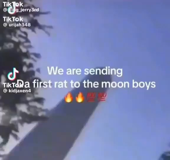 Tikvok We are sending first rat to the moon boys od - iFunny
