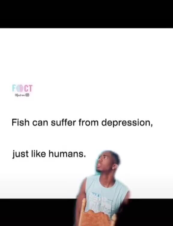 Fish can suffer from depression, justlike humans. 4 - )