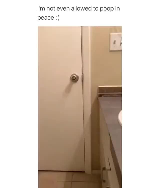 I'm not even allowed to poop in peace - iFunny