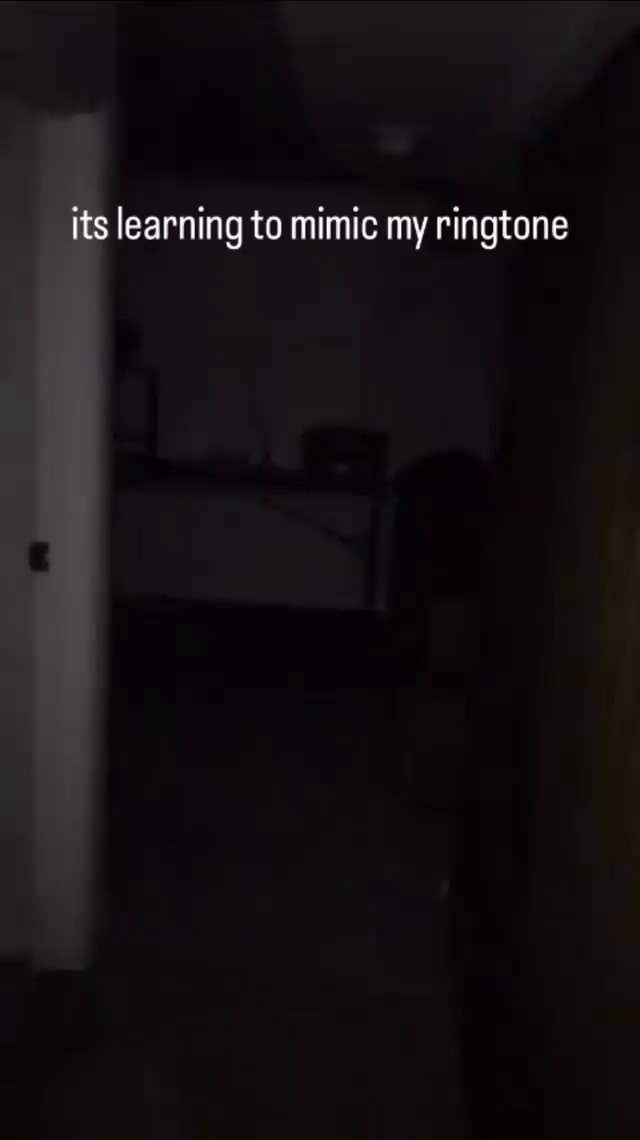 Its learning to mimic my ringtone - iFunny