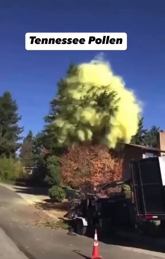 Tennessee Pollen - iFunny