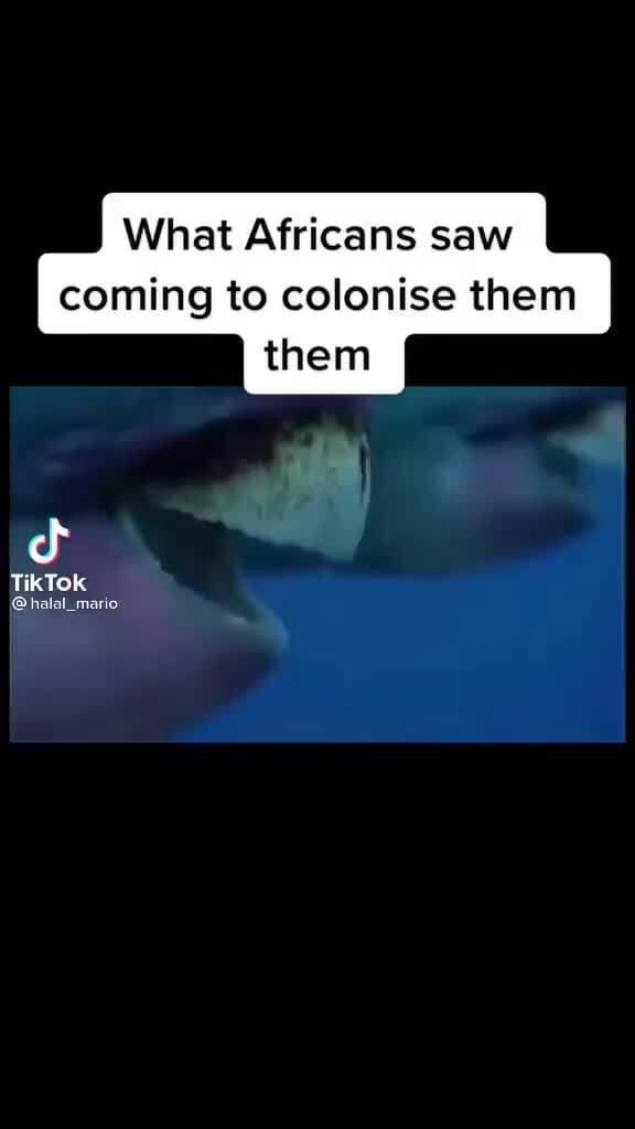 What Africans Saw Coming To Colonise Them TikTok Halal mario what-africans-saw-coming-to-colonise-them-tiktok-halal-mario