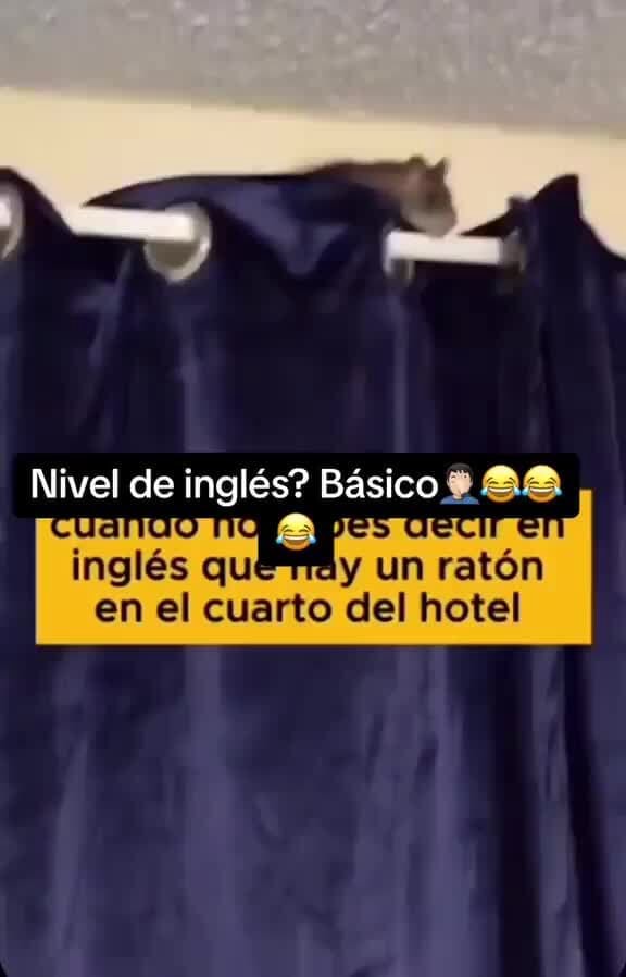 Nivel de inglés? Básico $ 88 CUdãdo nnog--mes decir en inglês un ratón ...