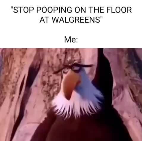 "STOP POOPING ON THE FLOOR AT WALGREENS" Me: - iFunny
