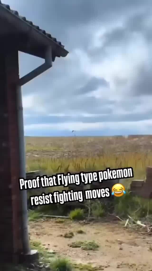 Prod that Flying type nokeman resist fighting moves - - iFunny