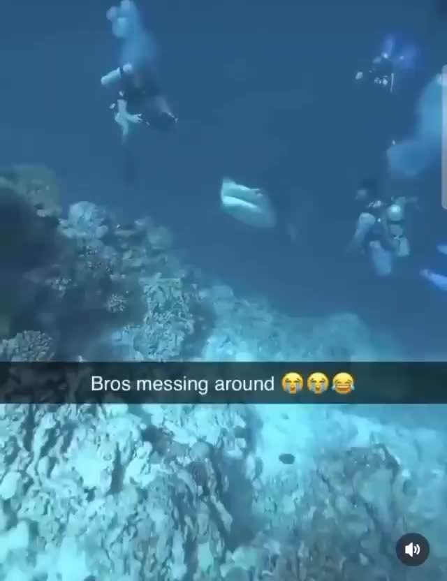 Bros messing around - iFunny