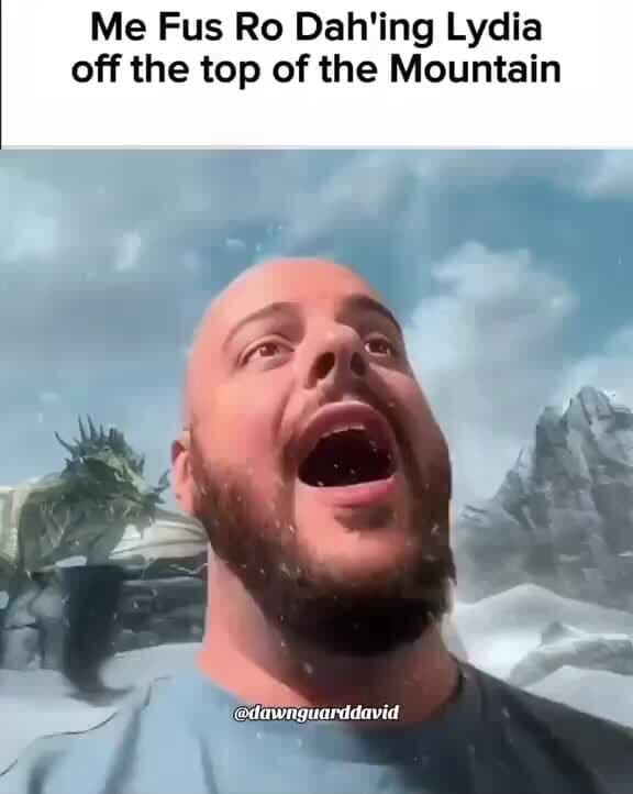 Me Fus Ro Dah'ing Lydia off the top of the Mountain - iFunny
