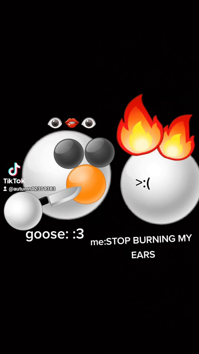 TikTok of & goose: :3 BURNING MY EARS - iFunny
