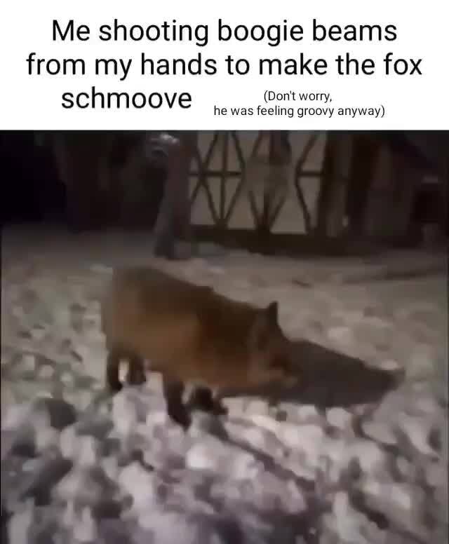 Me shooting boogie beams from my hands to make the fox schmoove he was ...