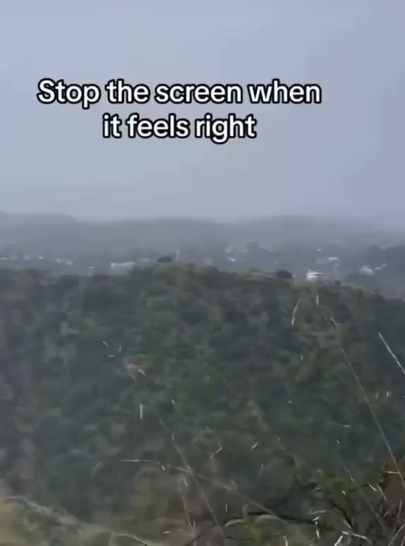 Stop the screen when it feels right - iFunny