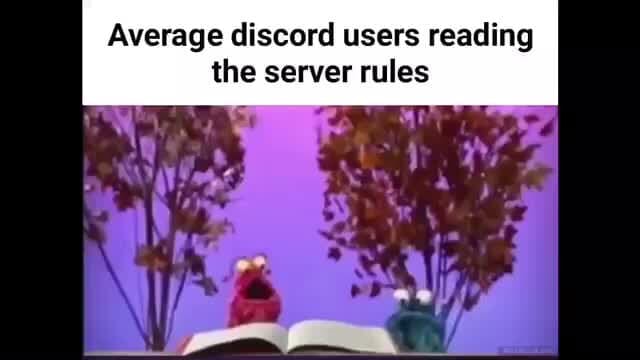 Average discord users reading the server rules - iFunny