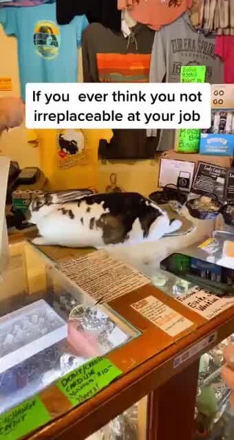 If you ever think you not irreplaceable at your job - iFunny
