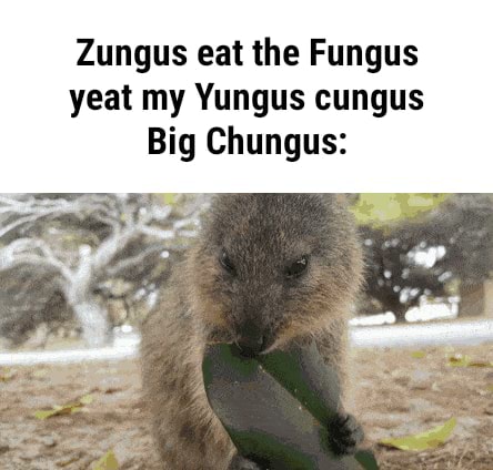 Zungus eat the Fungus yeat my Yungus cungus Big Chungus: - iFunny