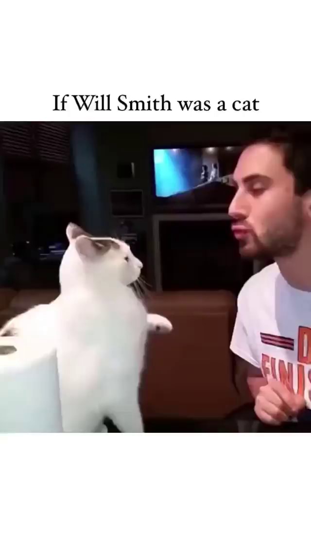 If Will Smith was a cat - iFunny