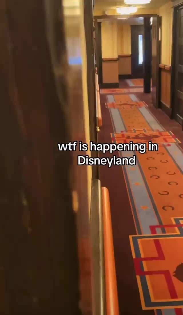 Wtf is happening in Disneyland - iFunny