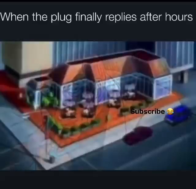 When the plug finally replies after hours - iFunny