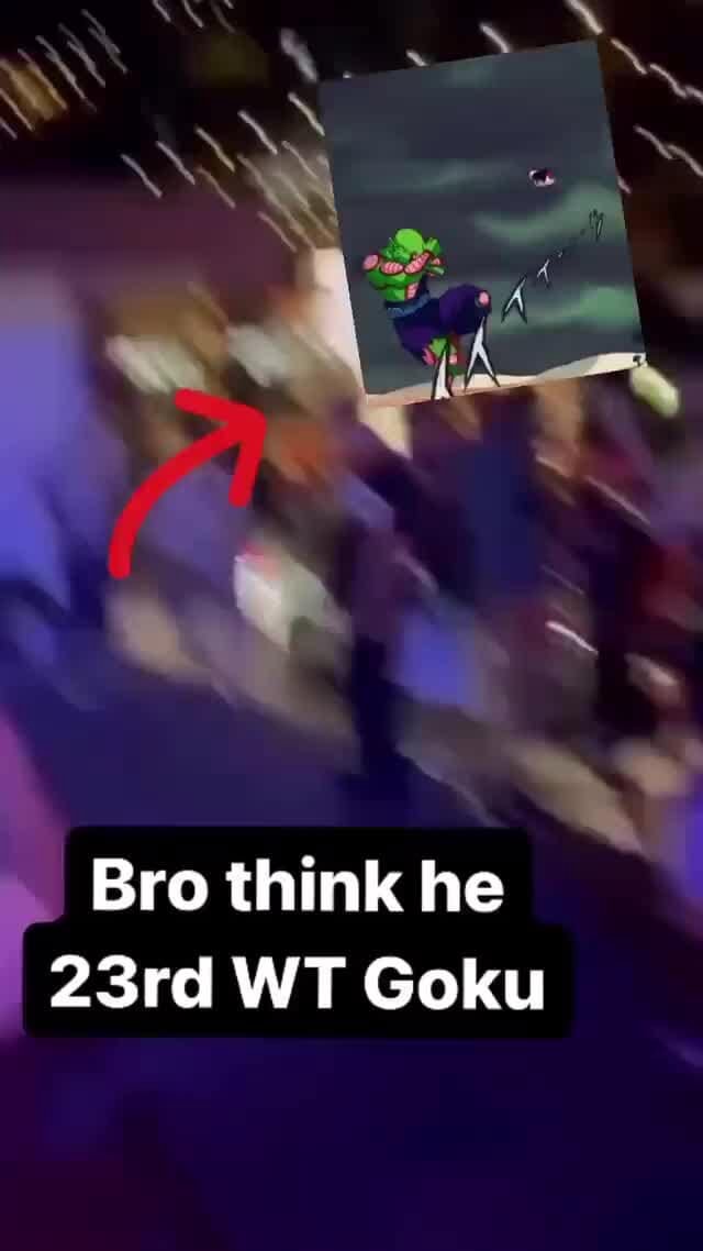 Bro think he 23rd WT Goku - iFunny
