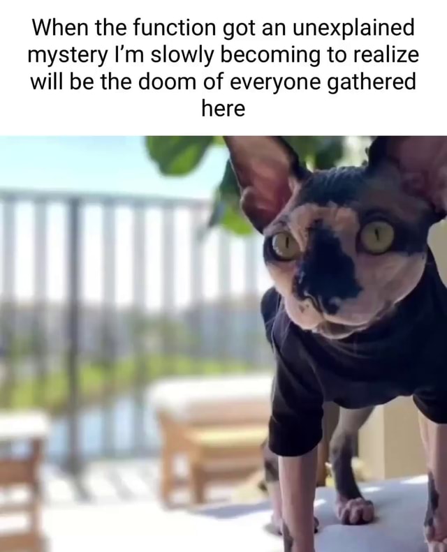 When the function got an unexplained mystery I'm slowly becoming to ...