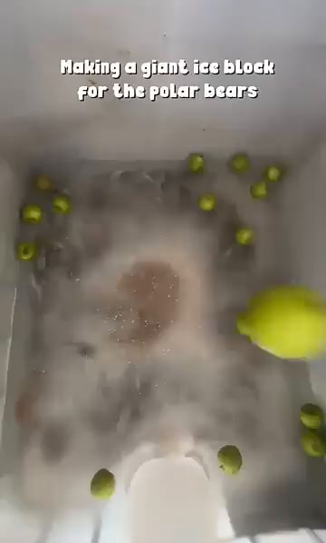 Making giant ice block for the polar bears - iFunny