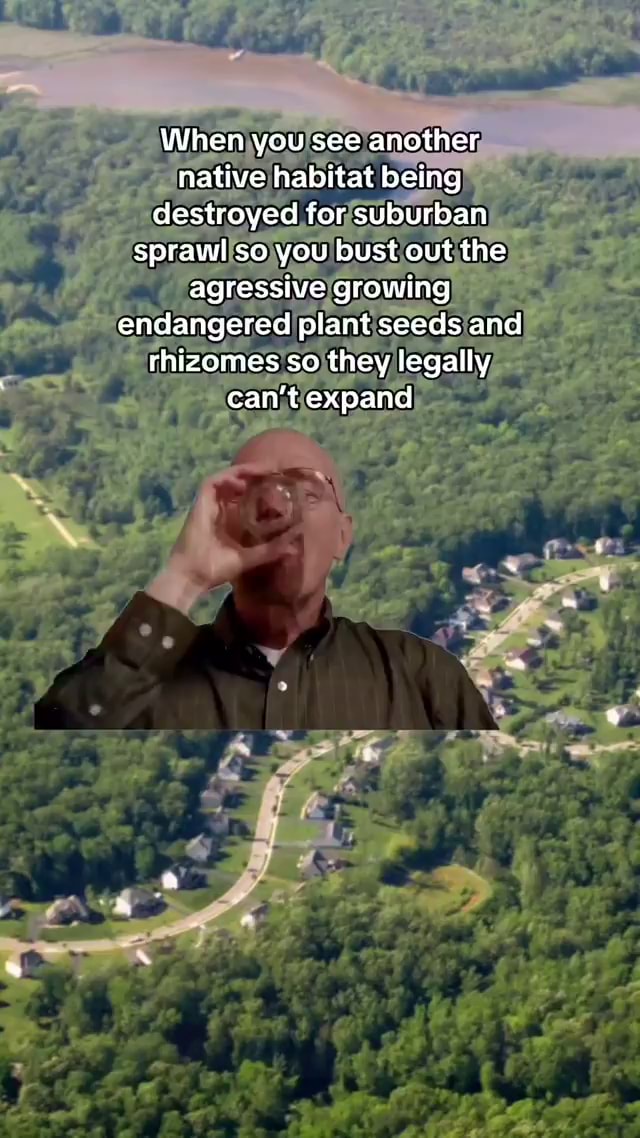 When you see another native habitat being destroyed for suburban sprawl ...