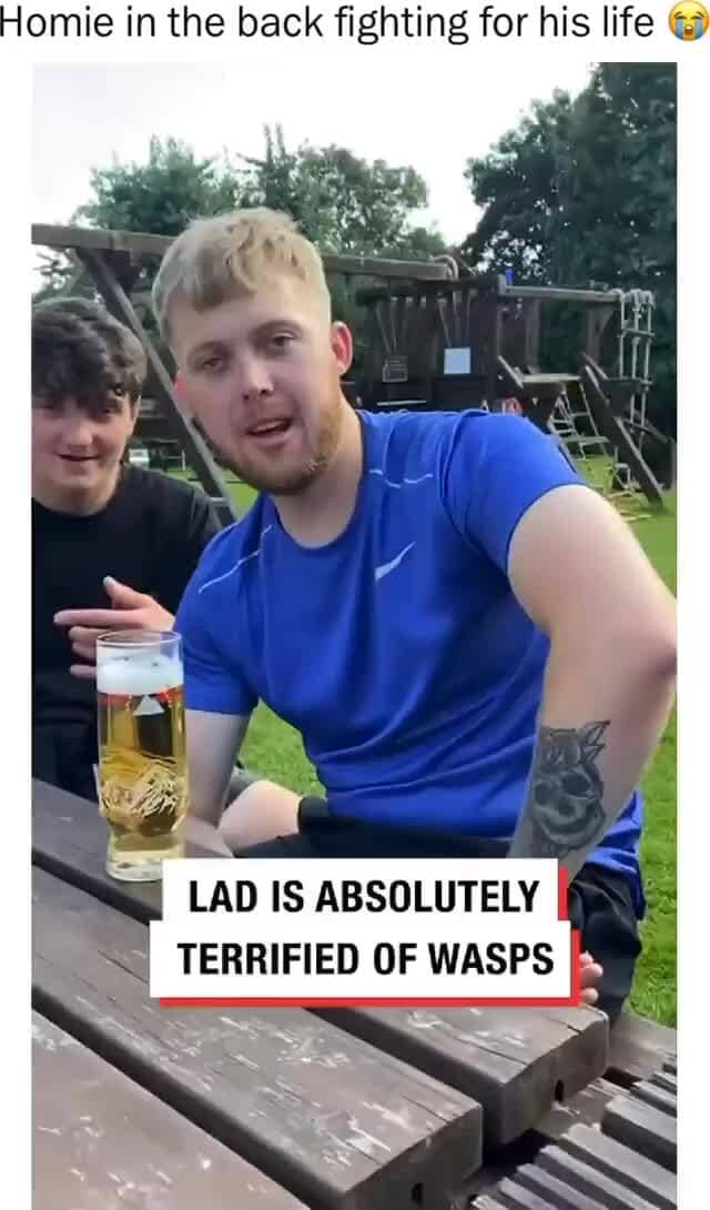 Omie in the back fighting for his LAD IS ABSOLUTELY VERRIFIED OF WASPS ...