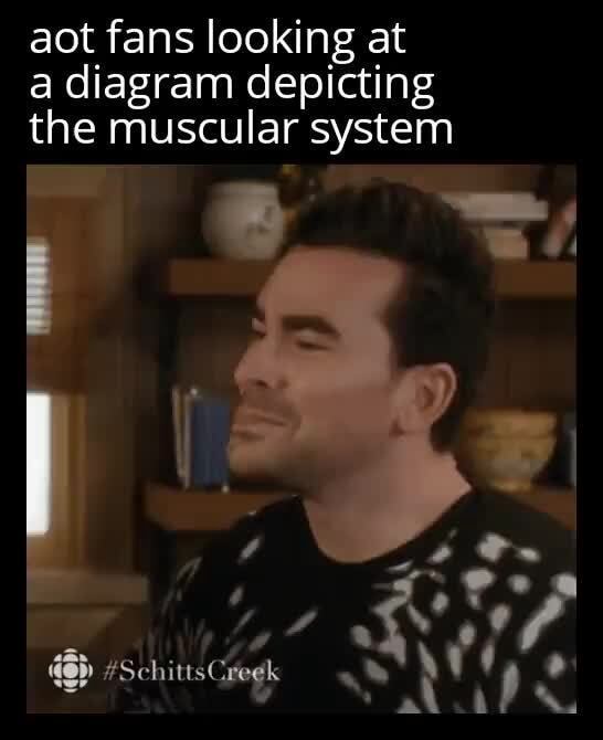 Aot fans looking at a diagram depicting the muscular system - iFunny