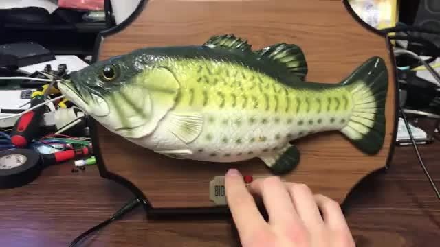 Video memes 7OKOxmVe6 by G_Dawg - )