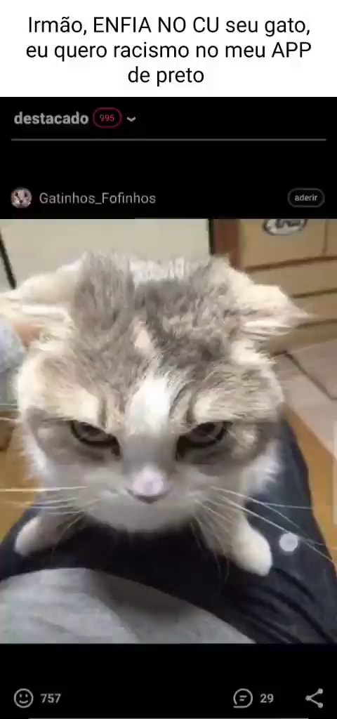 Irmão Enfia No Cu Seu Gato Eu Quero Racismo No Meu App De Preto