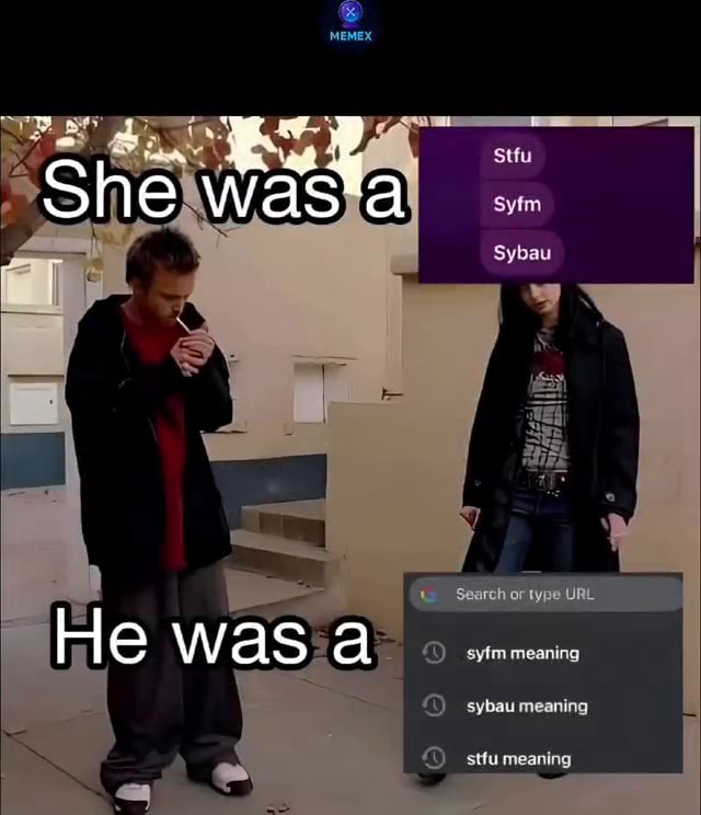 MEMEX She Wwacta He was a syfm meaning sybau meaning stfumeaning - iFunny