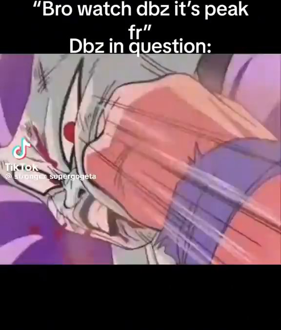 "Bro watch dbz it's peak Dbz in on - iFunny