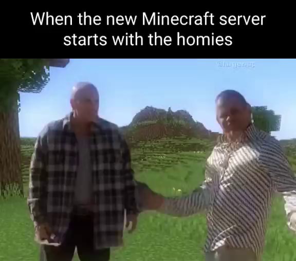 When the new Minecraft server starts with the homies - iFunny