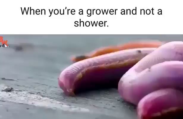 When you're a grower and not a shower. - iFunny