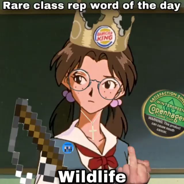 Rare class rep word of the day "2. Wildlife - iFunny