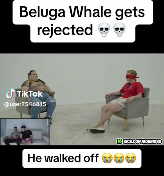 Beluga Whale gets rejected TikTok @user7546815 He walked off - iFunny
