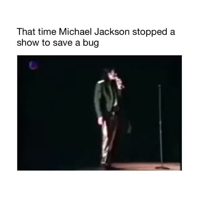 That time Michael Jackson stopped a show to save a bug - iFunny