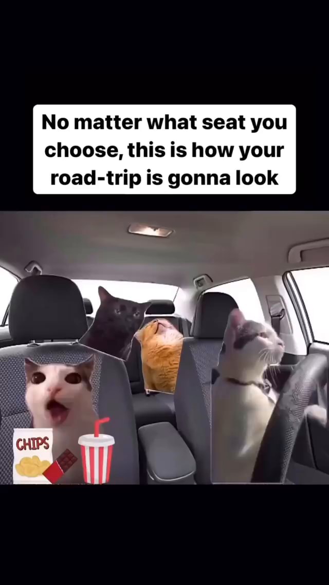 Where are you sitting Follow Succymemes For More memes succymemes ...