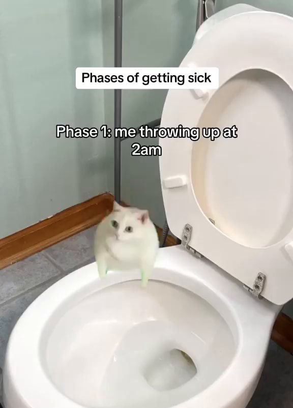 Phases of getting sick Phase 1: me throwing up at - iFunny