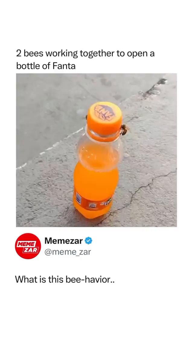 Teamwork 💪😂 (ViralHog) - - #memes #funny #bees #teamwork #memezar - 2 ...