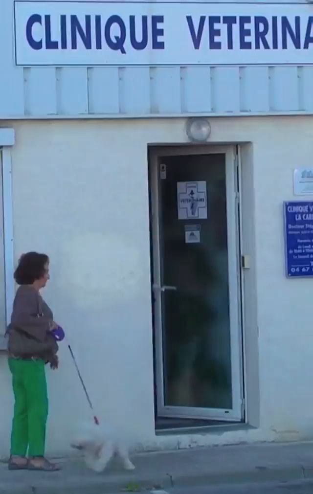 CLINIQUE I CLINIQUE VETERINI --TTTFTOOEETTre oo - iFunny