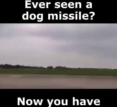 Lever dog missile? Now you have - iFunny