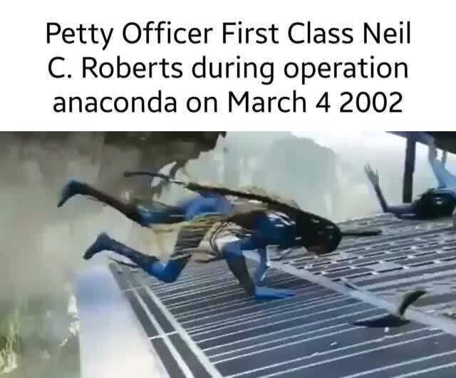 Petty Officer First Class Neil C. Roberts during operation anaconda on ...