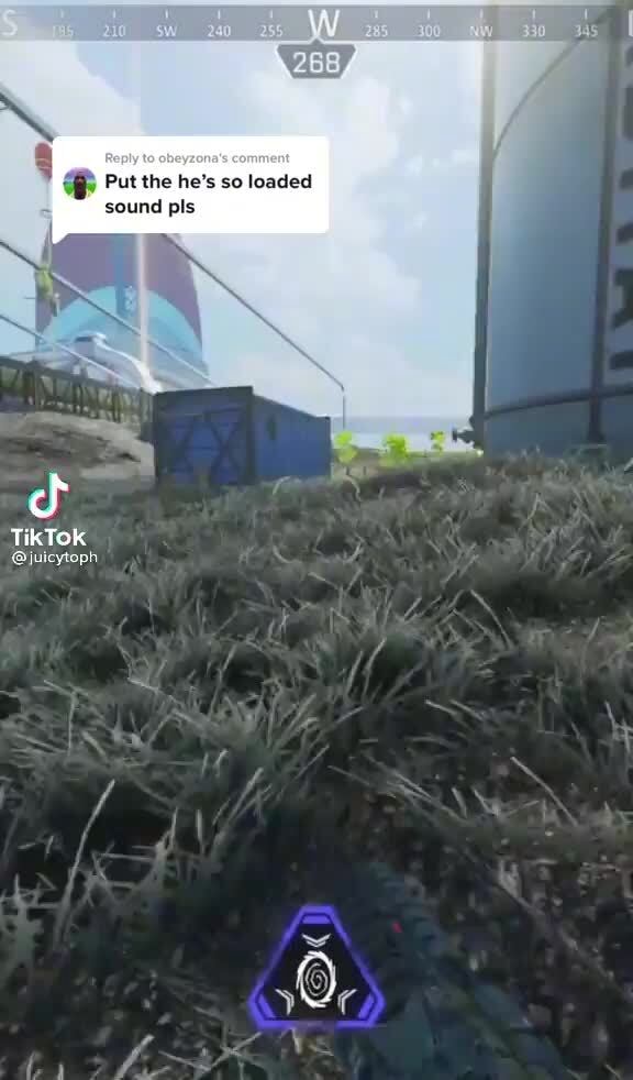 Put the he's so loaded sound pls TikTok - iFunny