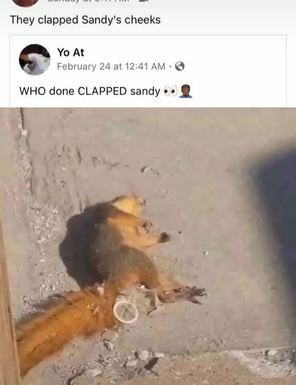 They clapped Sandy's cheeks Yo At 7 February 24 at 12:41 AM Q WHO done ...