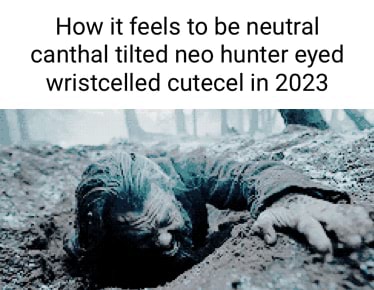 How it feels to be neutral canthal tilted neo hunter eyed wristcelled ...